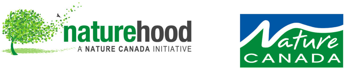 About Us | Nature NB