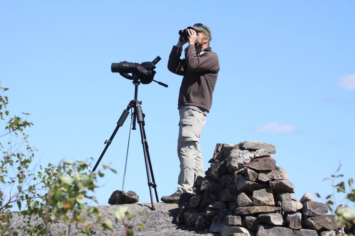 Point Lepreau Bird Observatory and Greenlaw Hawk Watch - Nature NB