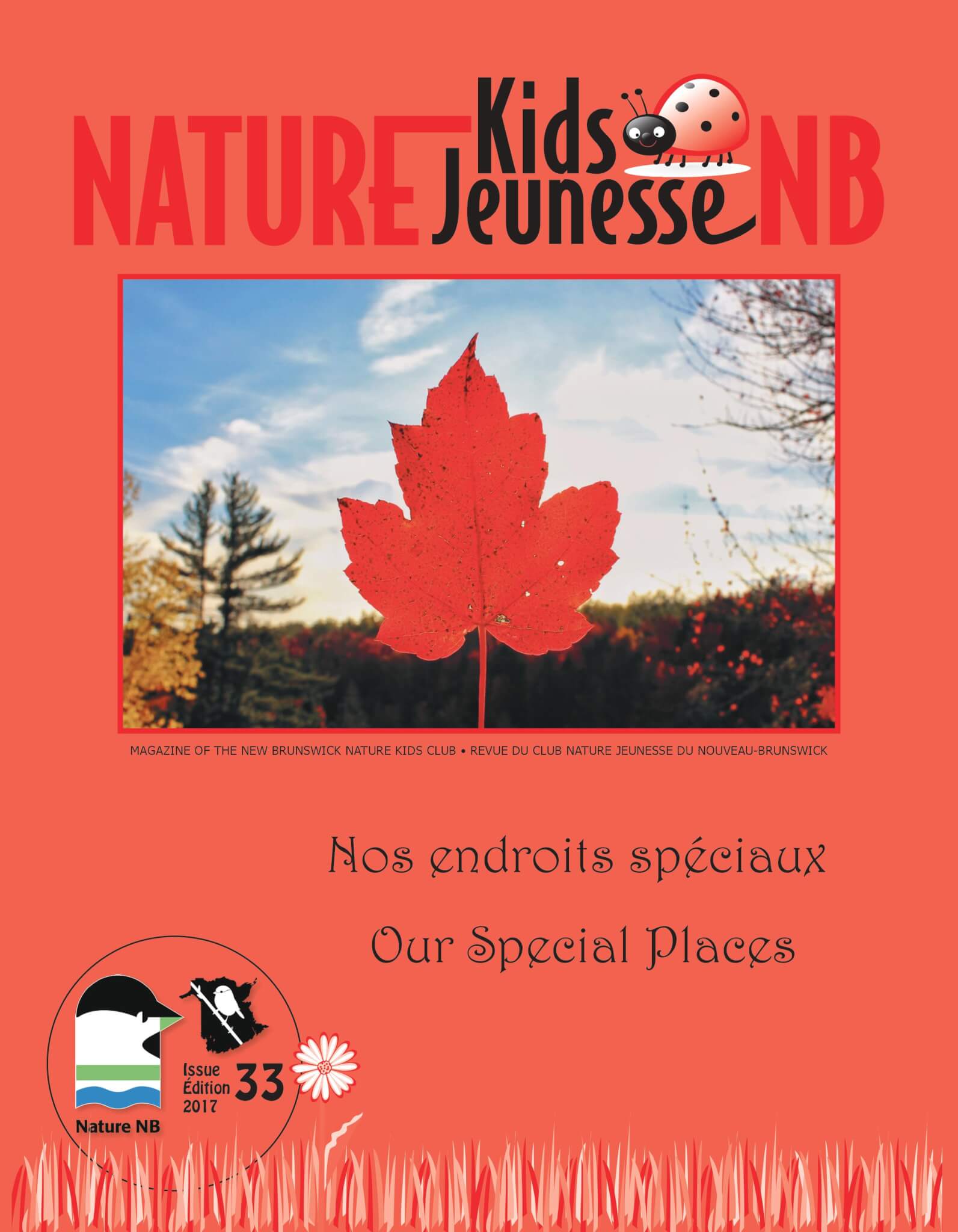 Publications & Reports | Nature NB