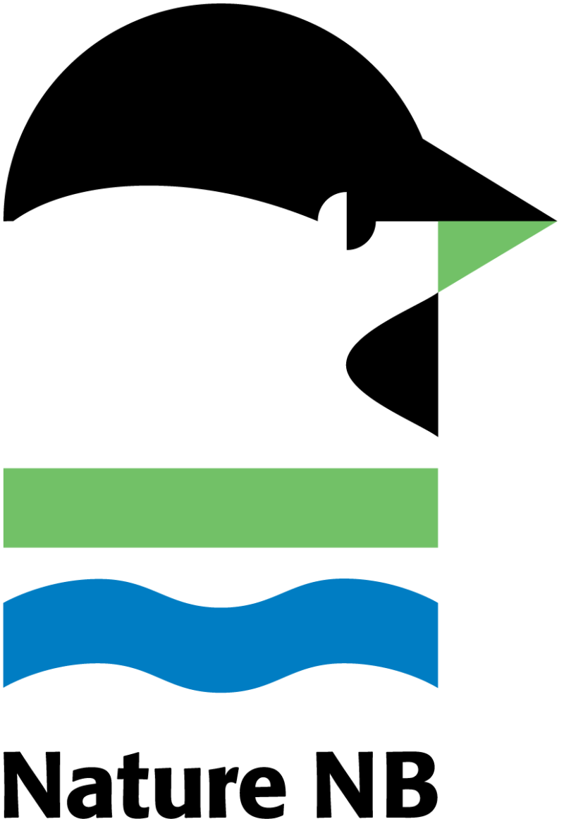 The Evolution of Our Logo - Nature NB