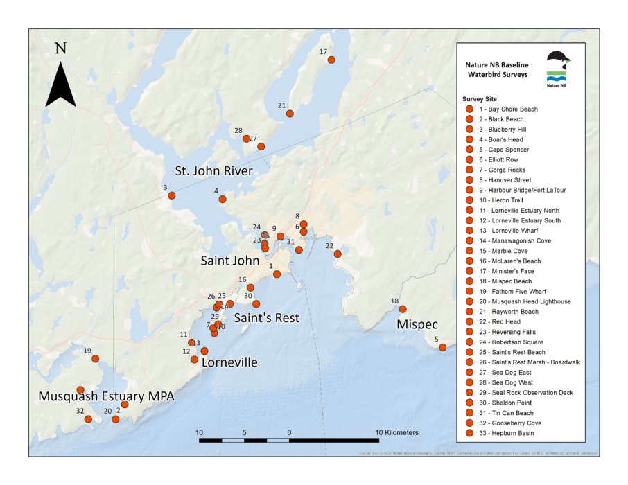 NB Naturalist Feature: Collecting Coastal and Environmental Baseline ...