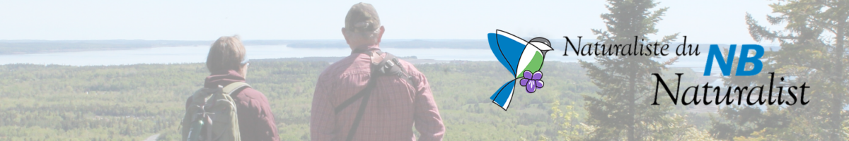 NB Naturalist - Nature NB