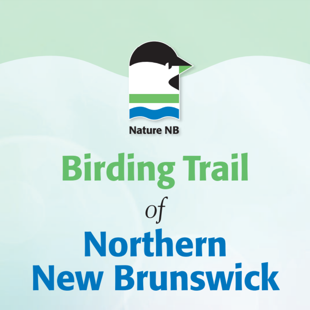 Nature Guides - Nature NB