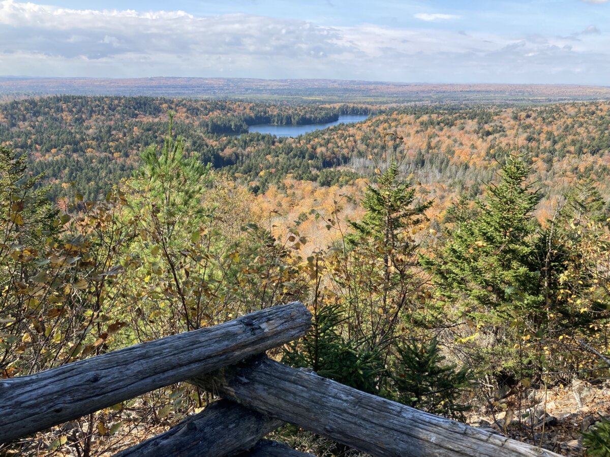 Ayers Lake Hike with Nature NB - Nature NB