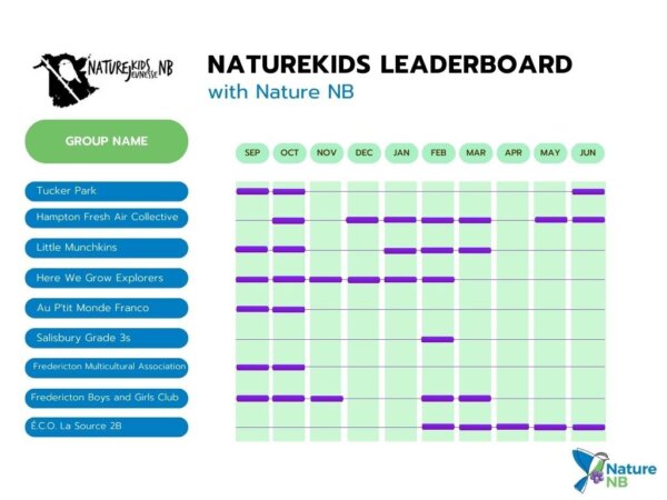 NatureKids NB End of Year Activities - Nature NB