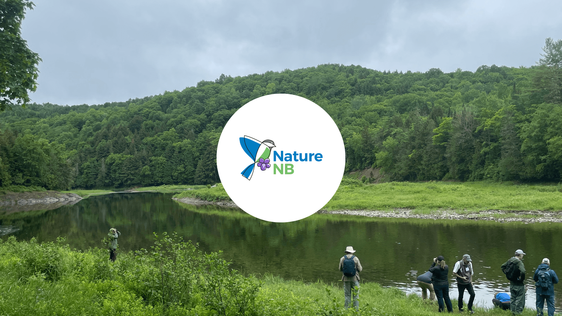 Accueil - Nature NB