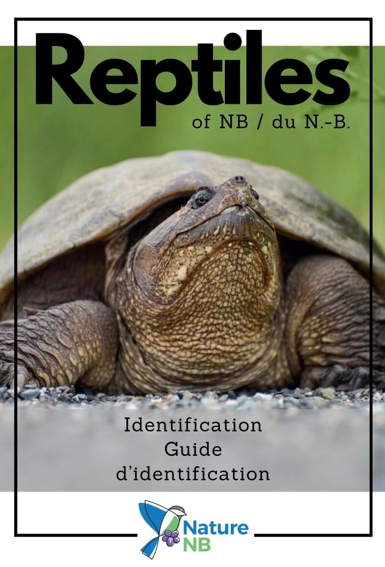 Nature Guides - Nature NB