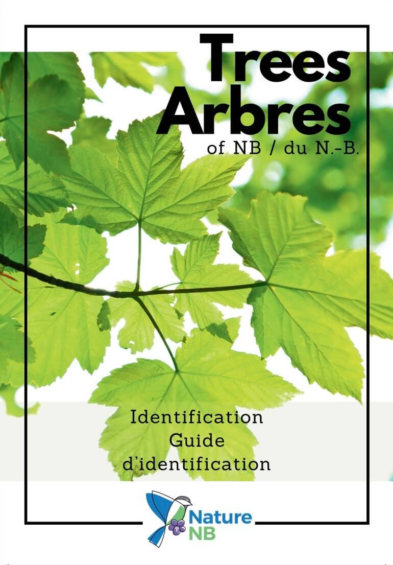 Nature Guides - Nature NB