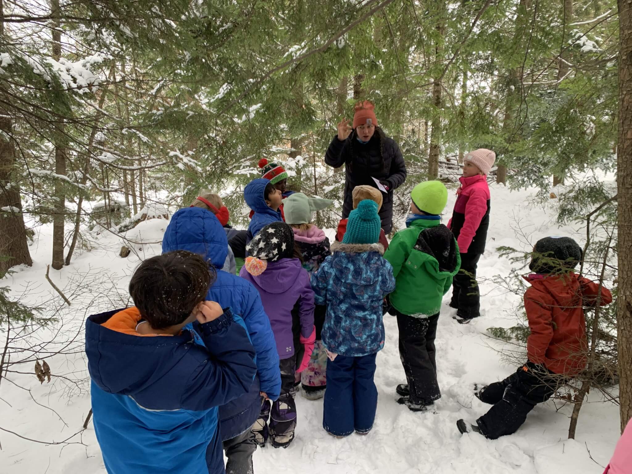 NatureJeunesse – Janvier 2025 - Nature NB