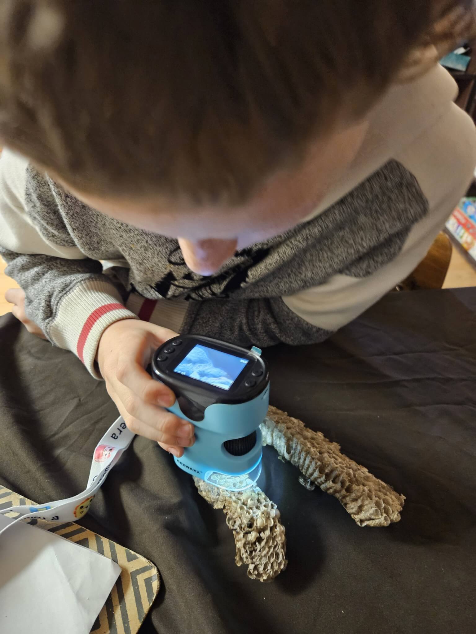 NatureKids – May 2025 - Nature NB